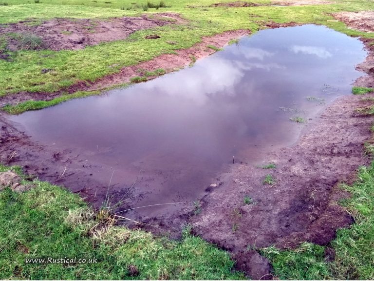 Scrapes for wildlife – Rustical